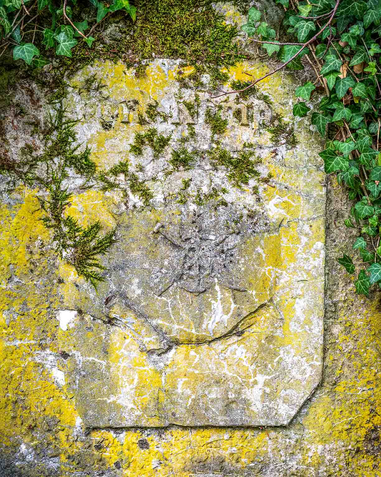 Fortifikation Hauenstein