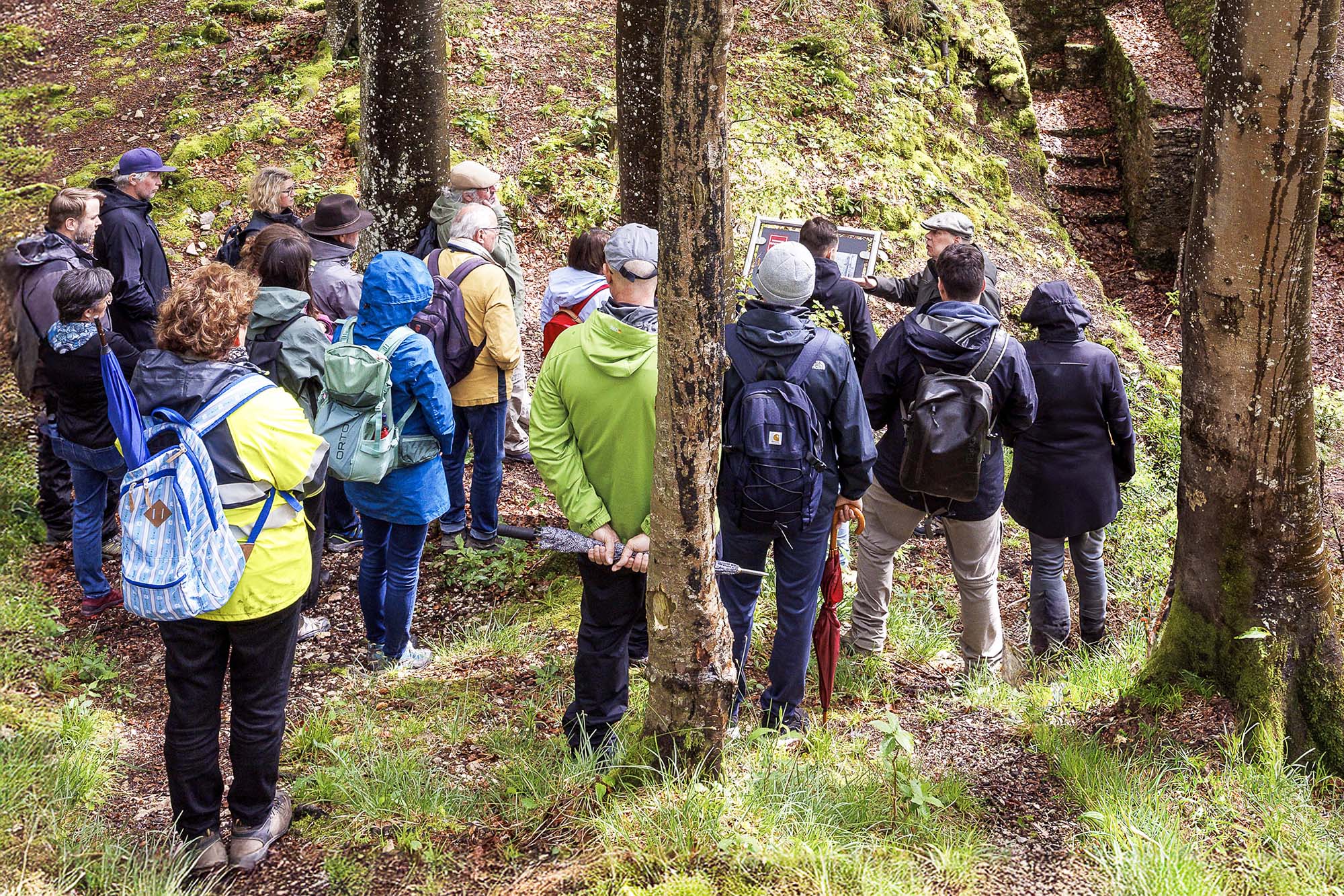 Fortifikation Hauenstein: Gruppenführungen